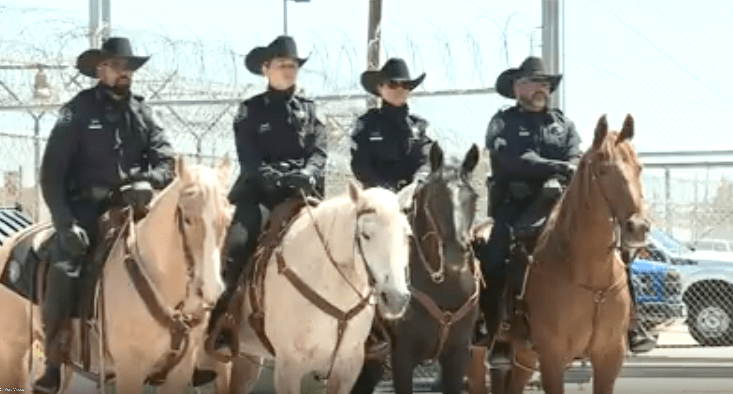 Denver Police Museum Honors The Only Mounted Officer Killed In The Line ...